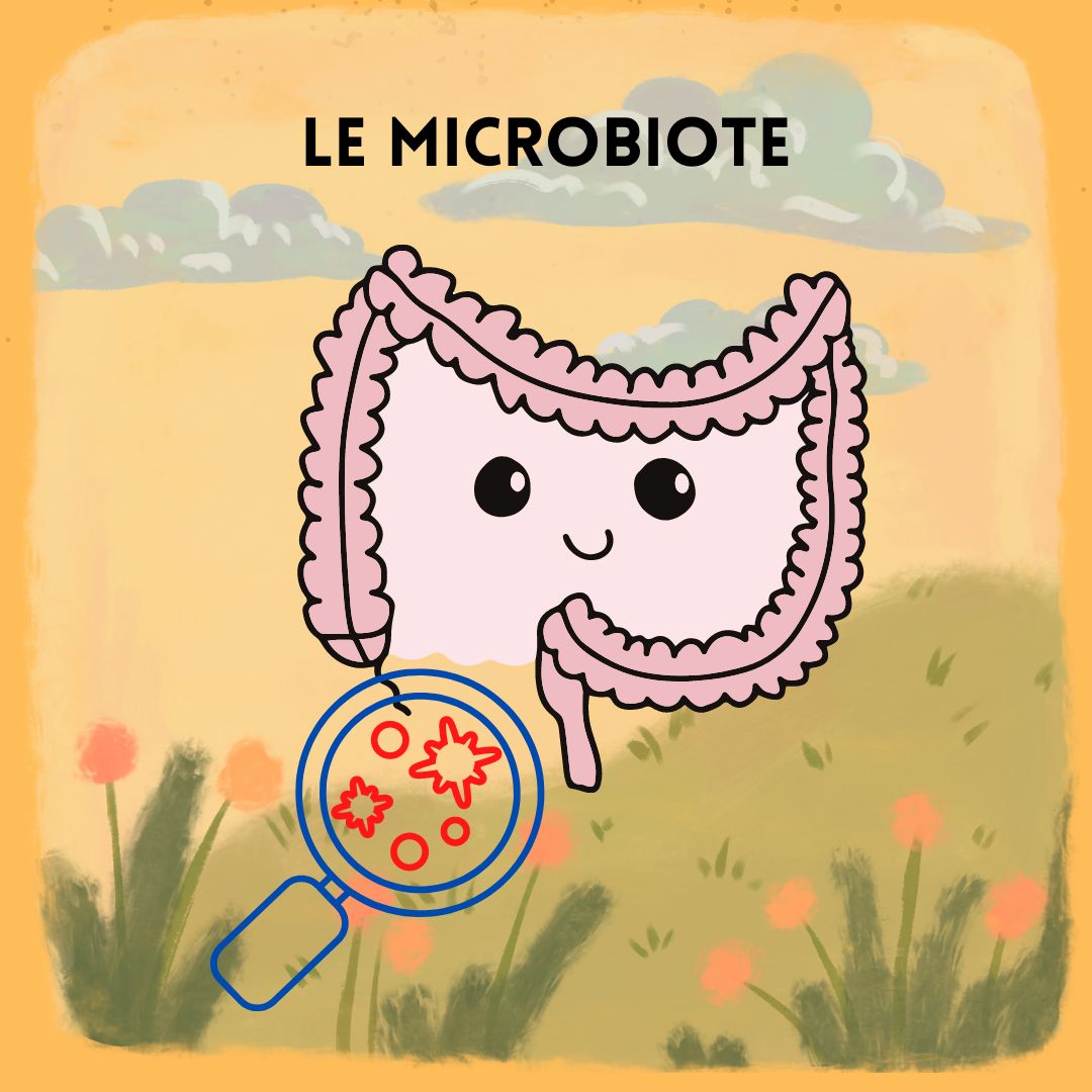 Conseils pour préserver son microbiote. - Les Menus Services