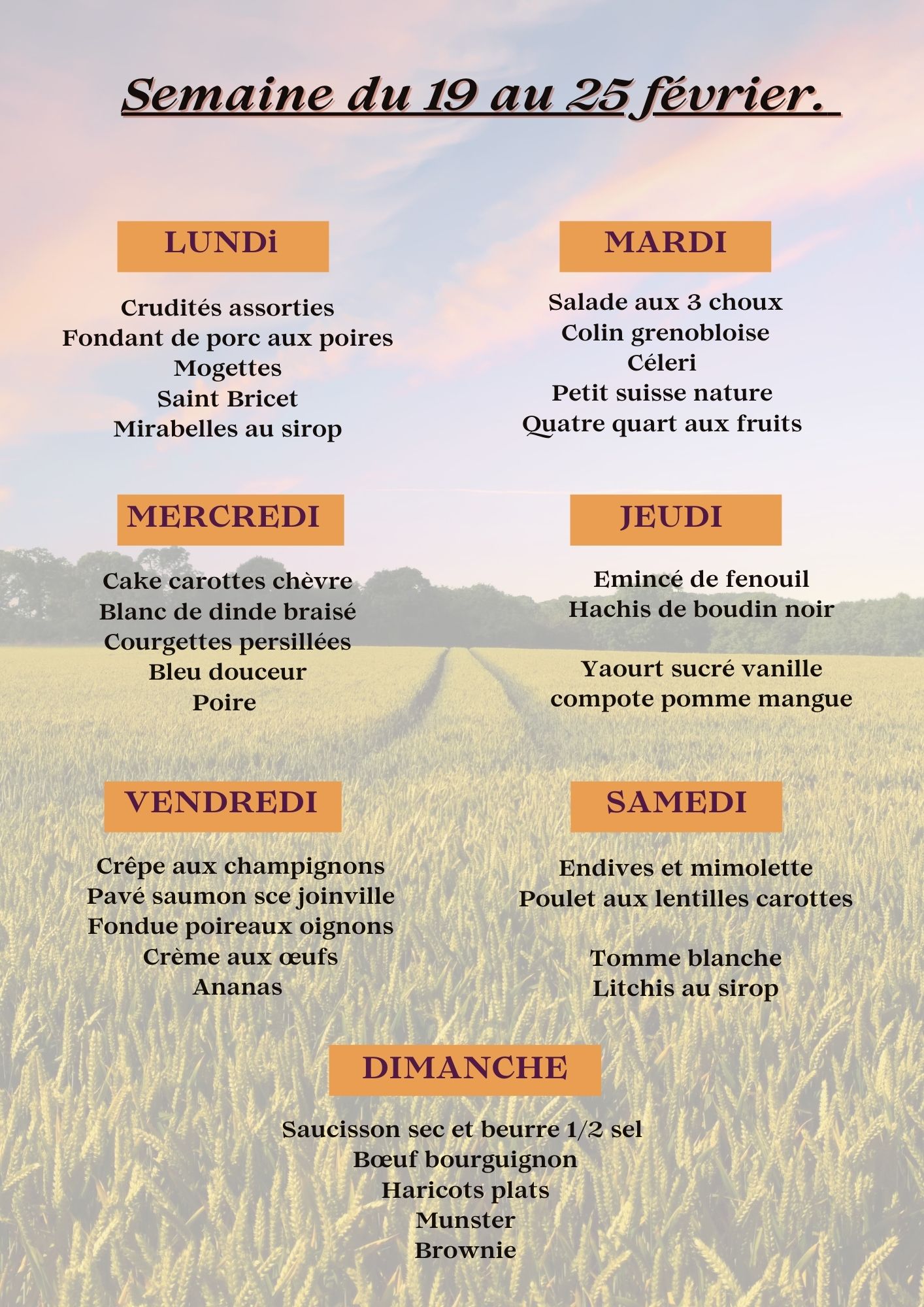 Repas savoureux du 19 au 25 février 2024. - Les Menus Services